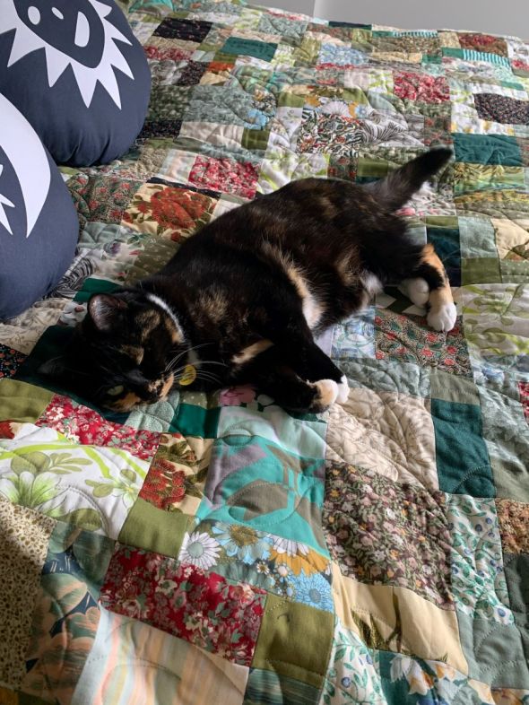 organised castle | A simple, sustainable life